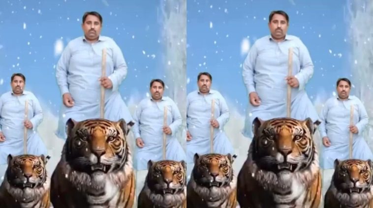 TikTok Star Jam Safdar is Pakistan's Very Own Tiger King [Video] - Lens