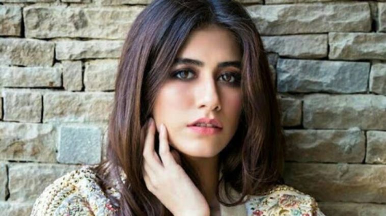 Syra Yousuf Shares Details About Her Life After Divorce [Video] - Lens