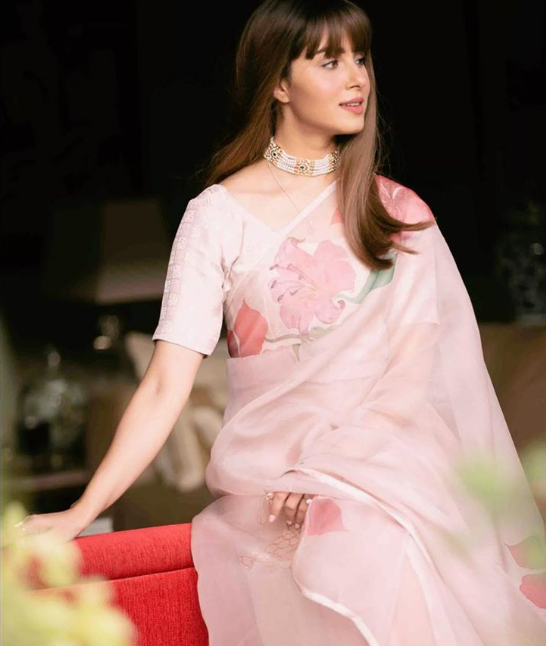 5 Pakistani Actresses Who Look Perfect in Sari [Pictures] - Lens