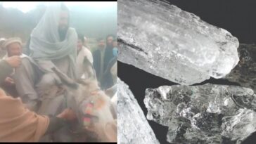 KP Makes 'Example' Out of Drug Dealers by Parading Them on Donkeys ...