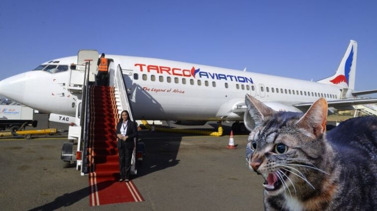 Sudanese Plane Makes Emergency Landing After a Cat Attack - Lens