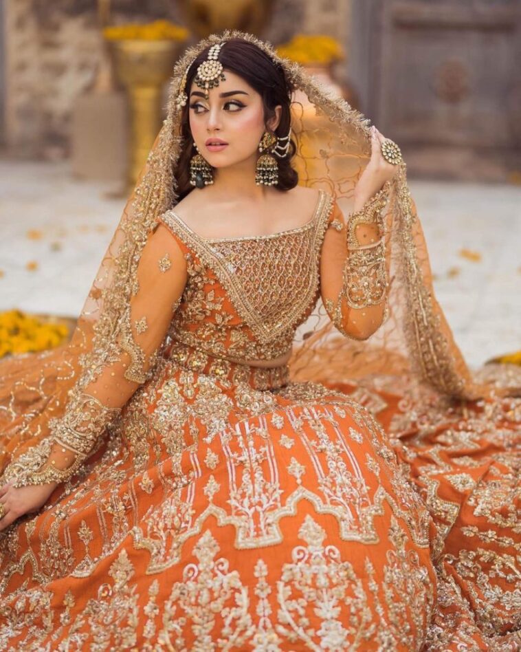 Pretty In Pink: Alizeh Shah Looks Radiant In Bridal Wear - Lens