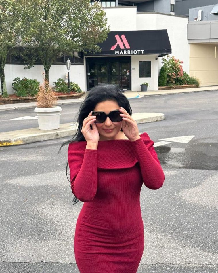 Meera Jee Turns Heads in Haute Maroon Outfit [Images] - Lens