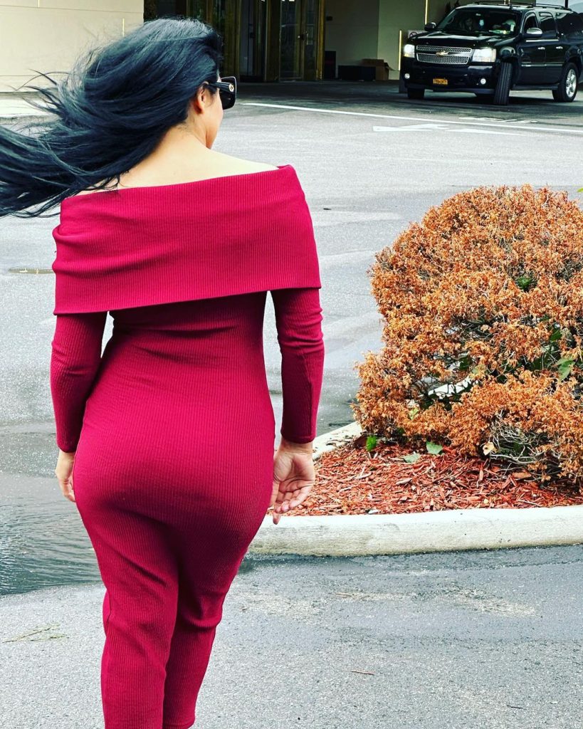 Meera Jee Turns Heads in Haute Maroon Outfit [Images] - Lens