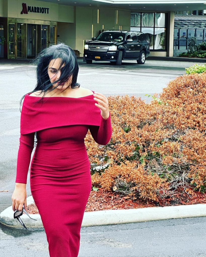 Meera Jee Turns Heads in Haute Maroon Outfit [Images] - Lens