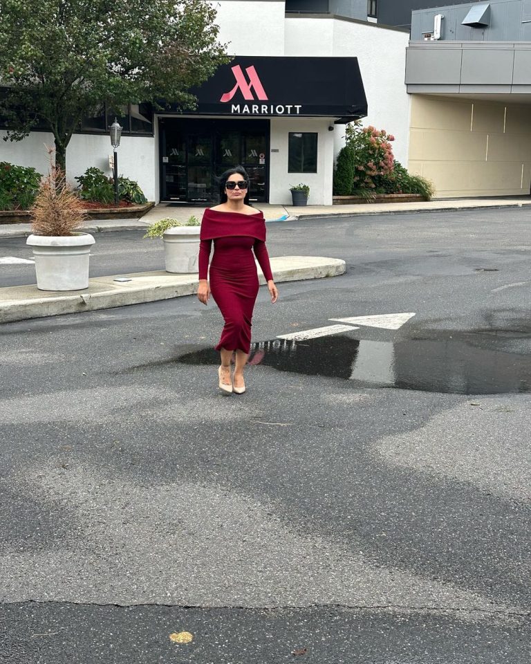Meera Jee Turns Heads in Haute Maroon Outfit [Images] - Lens