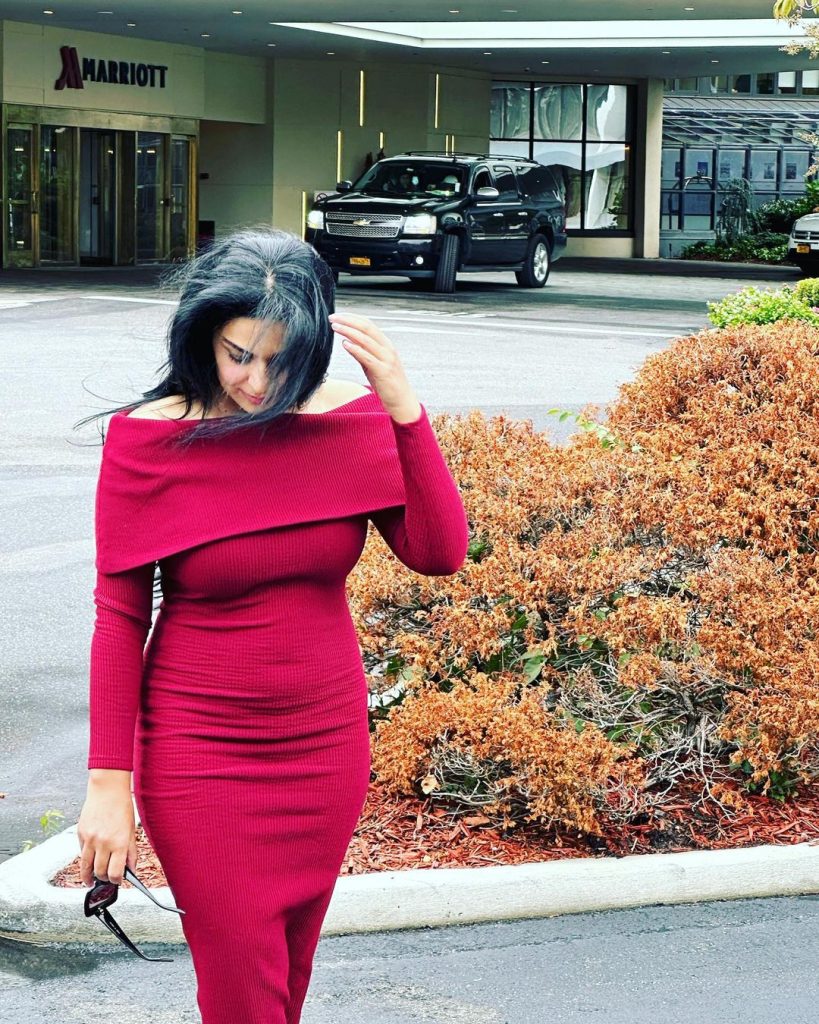 Meera Jee Turns Heads in Haute Maroon Outfit [Images] - Lens