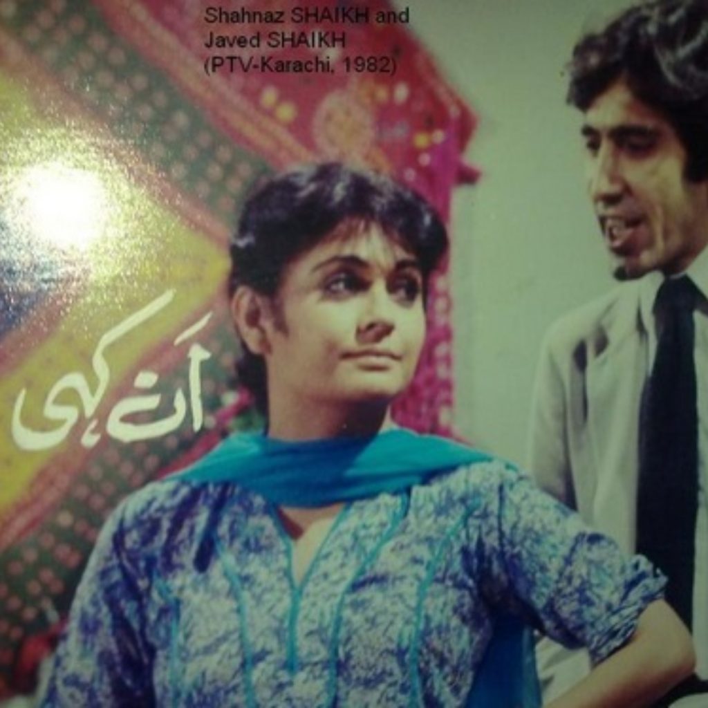 Top 10 PTV Dramas From Golden Era That You Must Watch Again - Lens