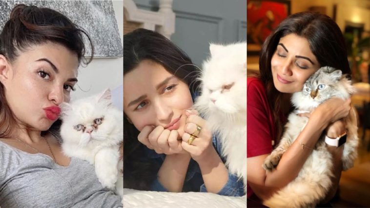 Bollywood Actresses Who Are Proud Cat Parents - Lens