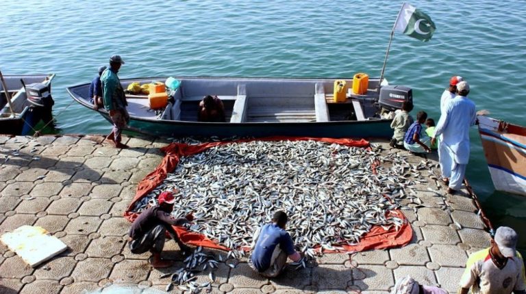 Balochistan Govt Set to Develop 2 Fish Harbors at Ormara and Jiwani ...