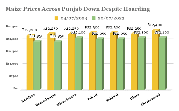 Maize Prices Down 12 Percent In Punjab Despite Hoarding