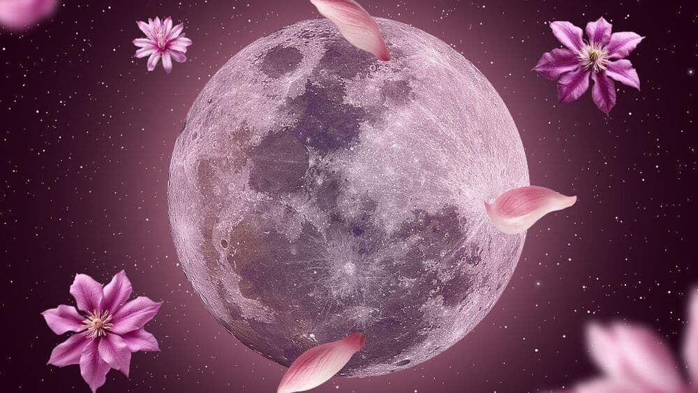 Will Pakistanis Be Able to See 'Flower Moon' Next Week?