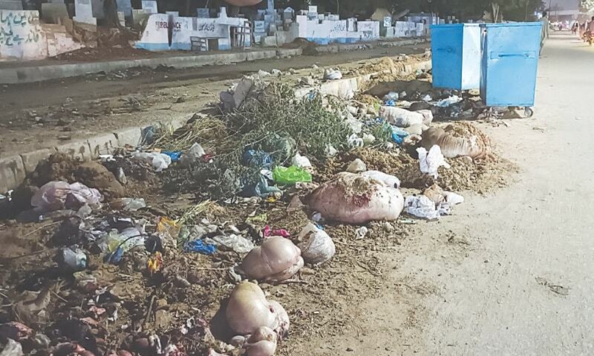Karachi Faces Severe Sanitation Crisis During Eid ul Azha Amid Waste ...