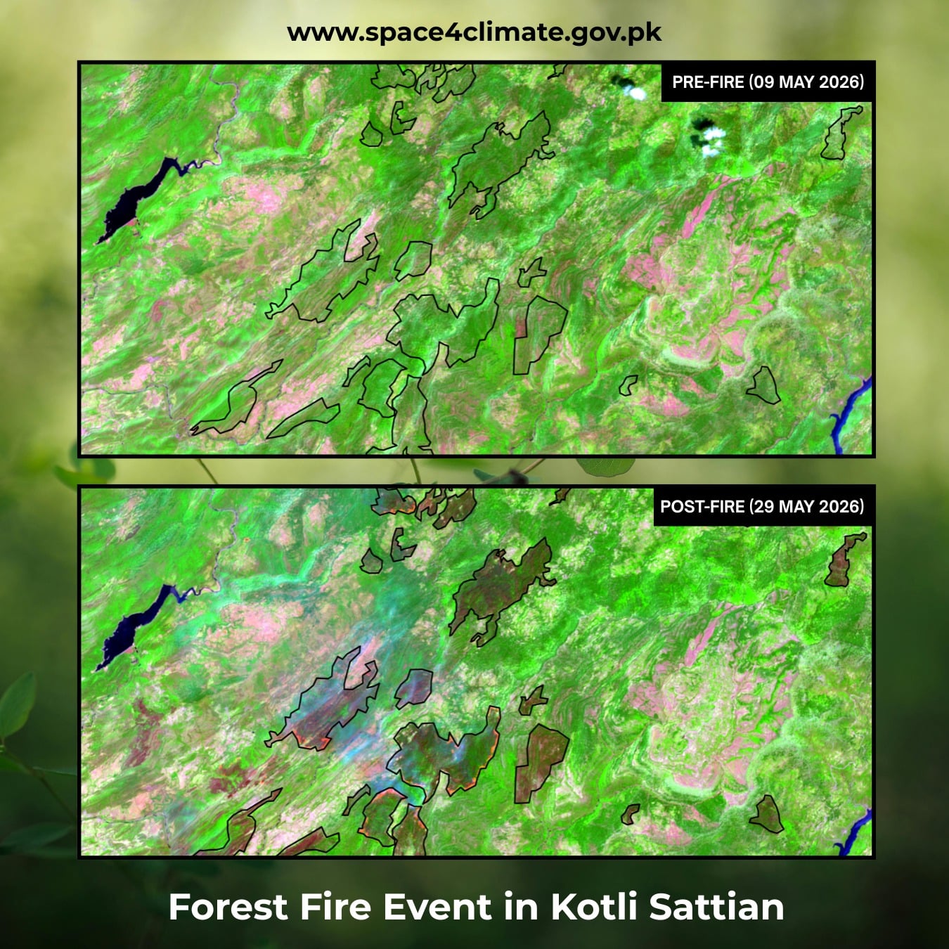 Satellite Images Reveal Massive Forest Loss in Kotli Sattian Fire
